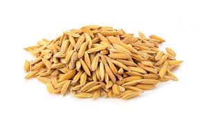 Buy Premium Rice Seed - High Yield Varieties for Myanmar Farmers